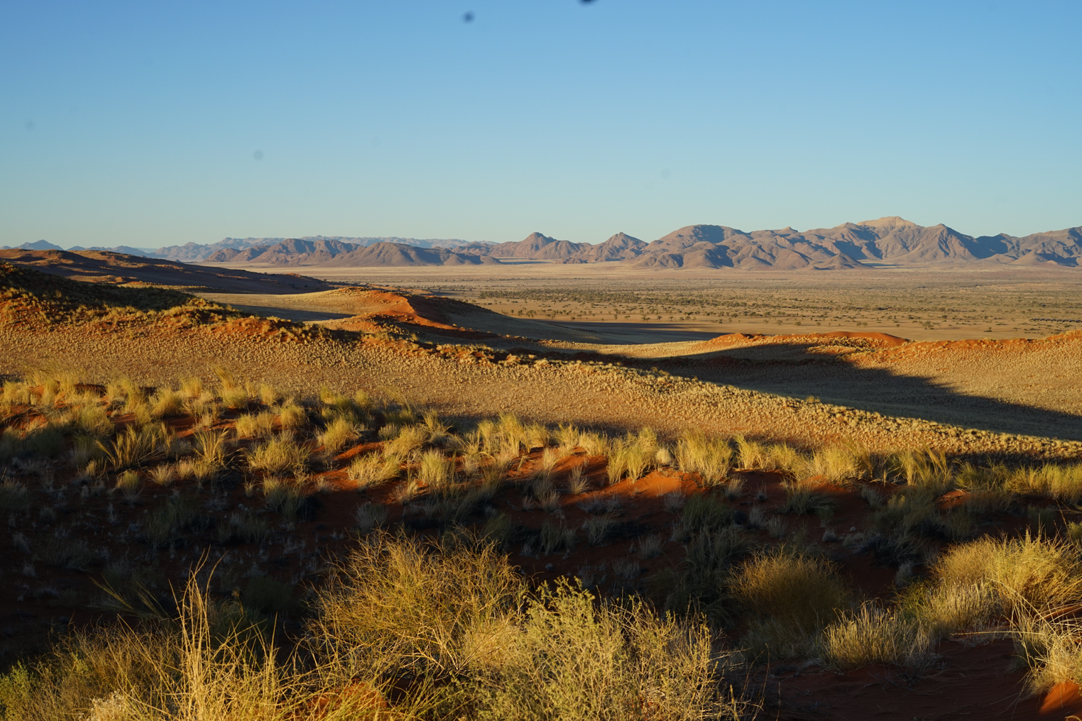 Luxus-Oase in der Namib-Wüste: The Desert Grace von Gondwana ...