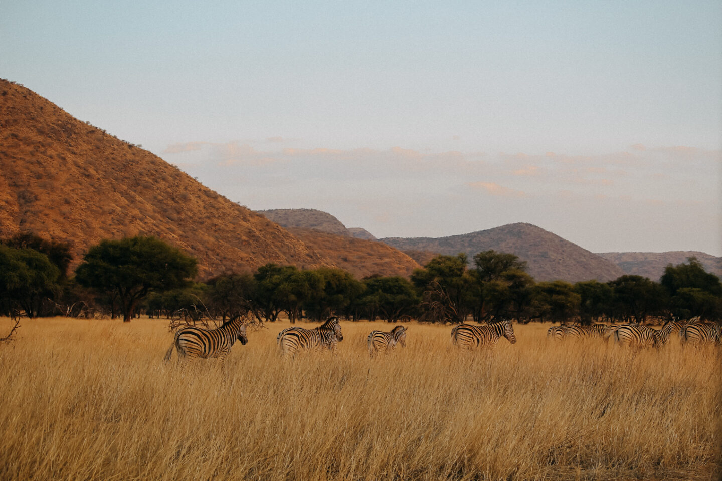 Okapuka Safari Lodge: Ein Safari-Erlebnis vor den Toren Windhoeks ...